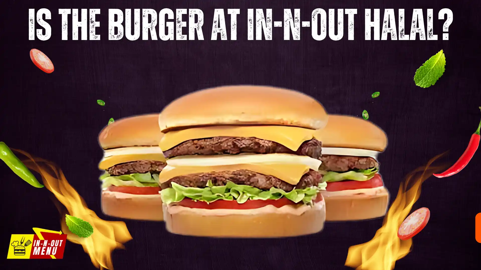 Is In N Out Halal? And What Halal Options Available 2025